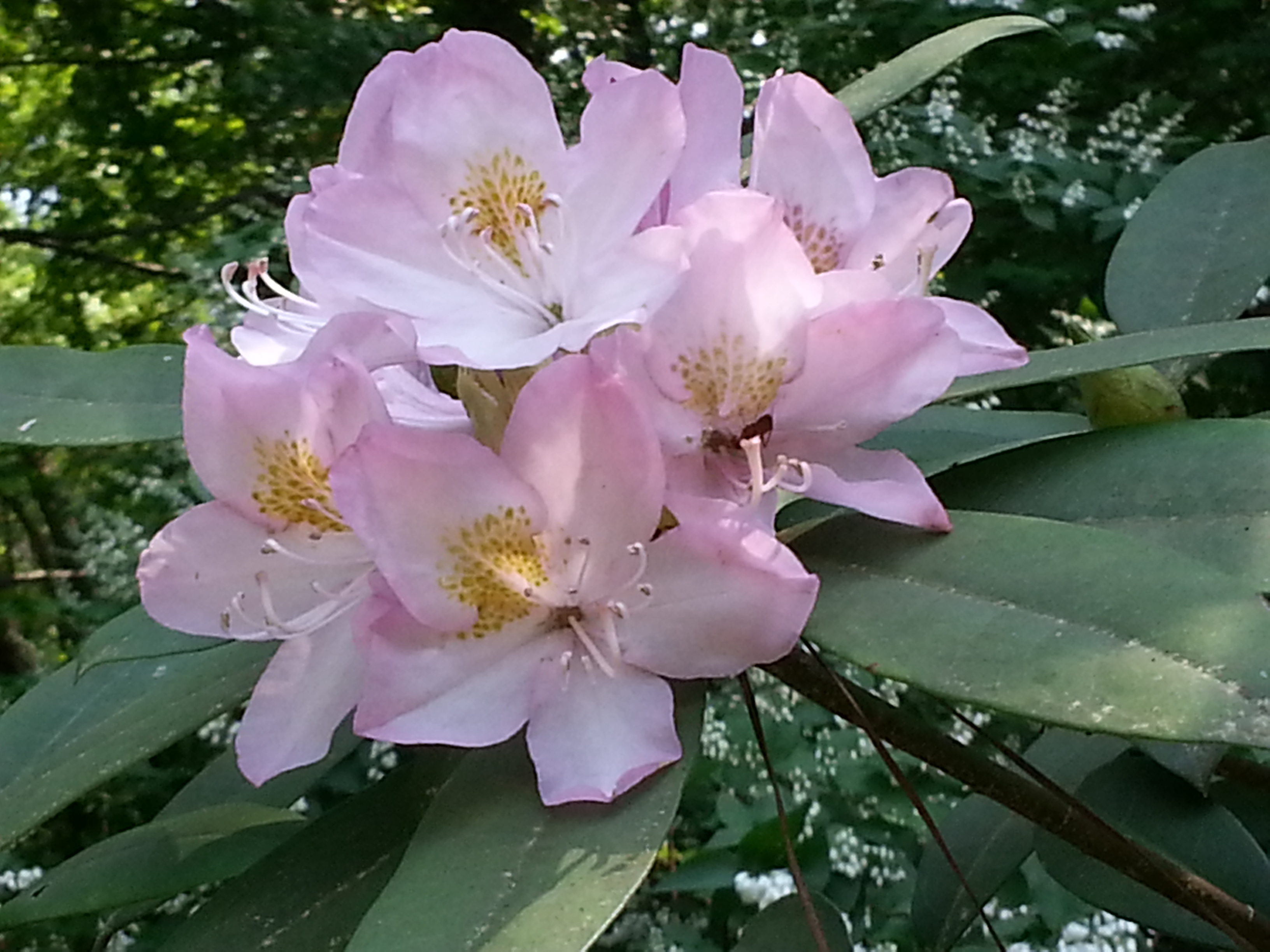 On Substack Today: The story continues-What is the Problem? | Finding Robin's Story